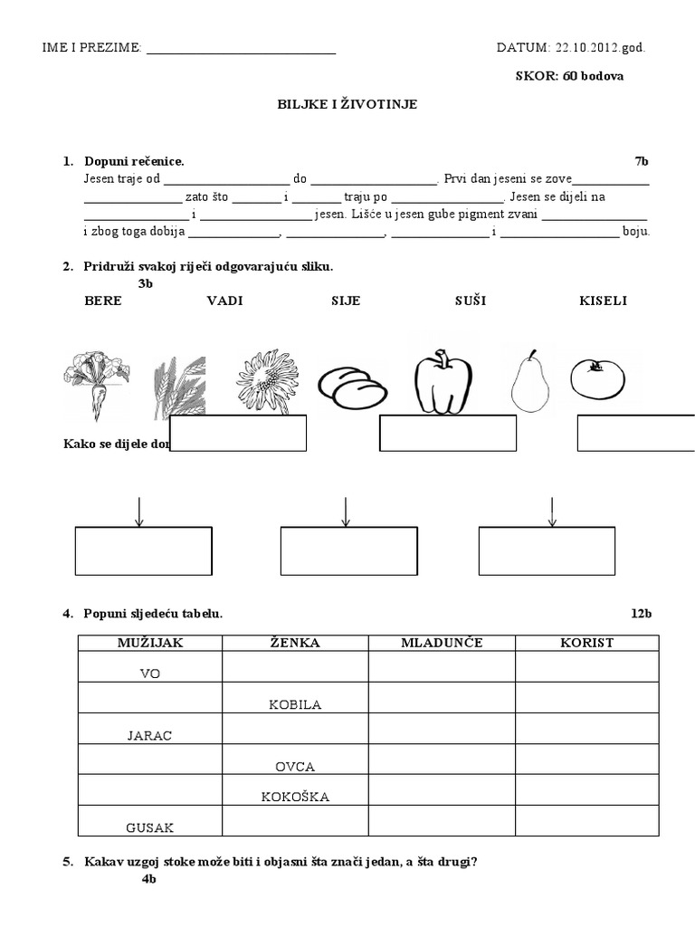 Biljke I Zivotinje Sistematizacija | PDF