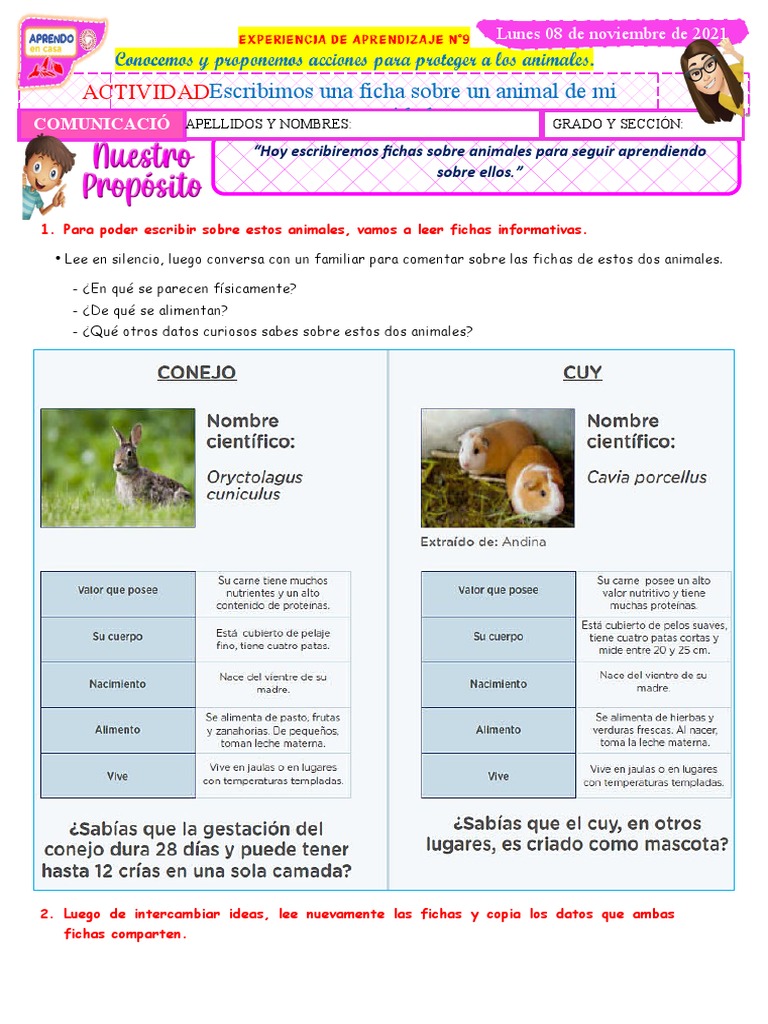 Fichas Informativas de Animales | PDF