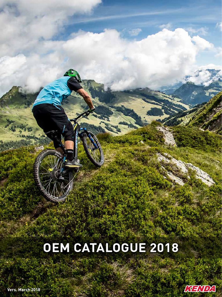 2018 03 Oem Catalogue 22 - 3 - Lowres | PDF | Tire | Automotive Industry
