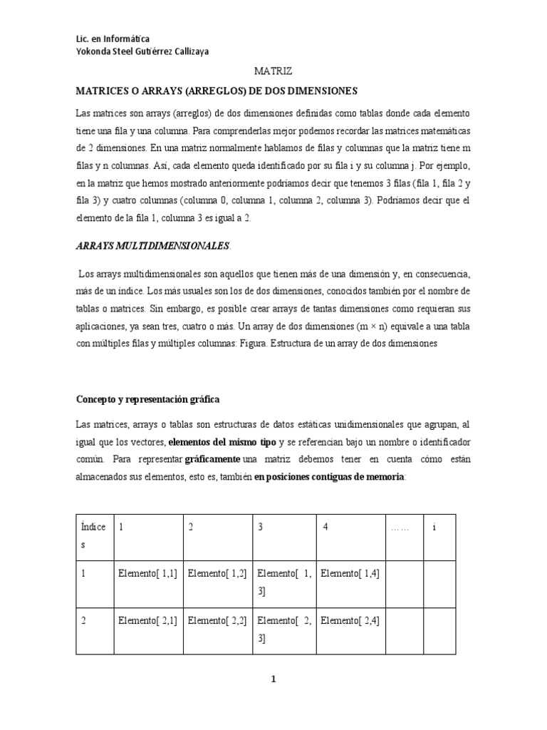 Matriz 1 | PDF | Estructura de datos de matriz | Matriz (Matemáticas)