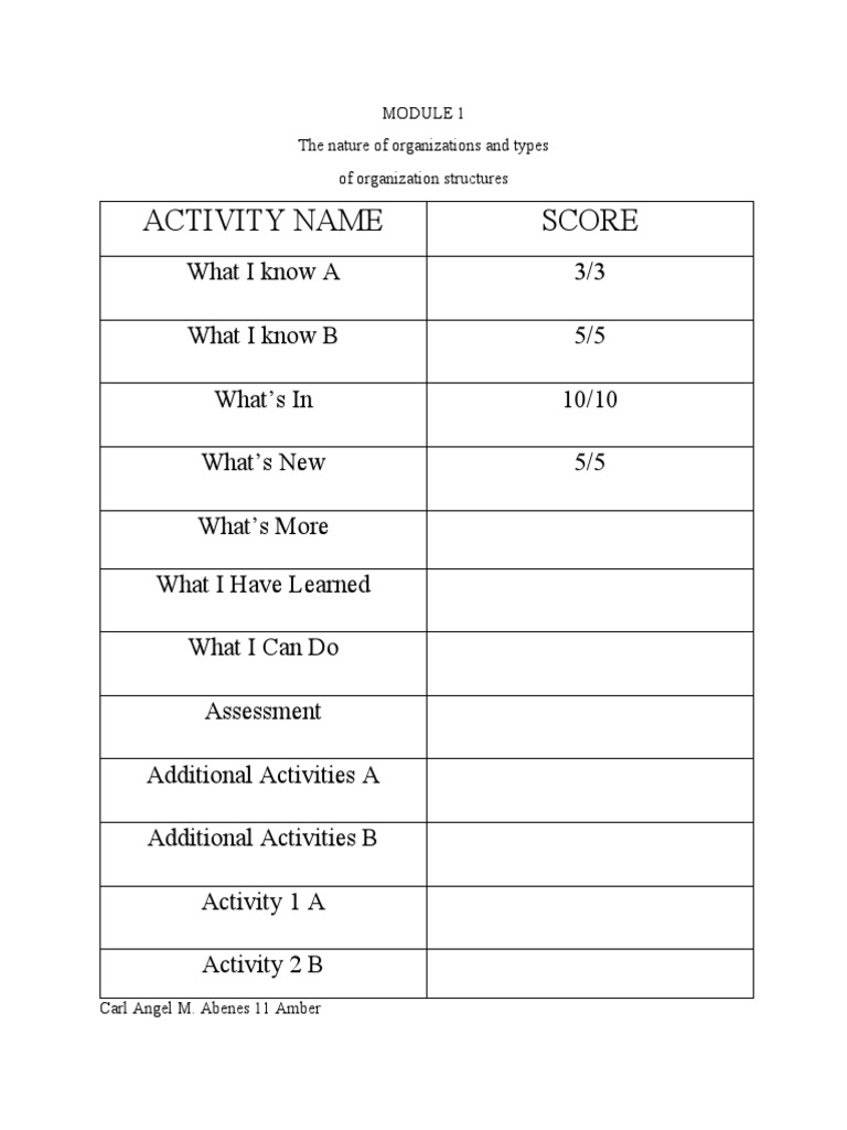 Activity Name Score | PDF | Organizational Structure | Leadership