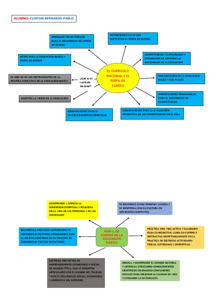 Mapa Concep. 2 | PDF | Plan de estudios | Cognición