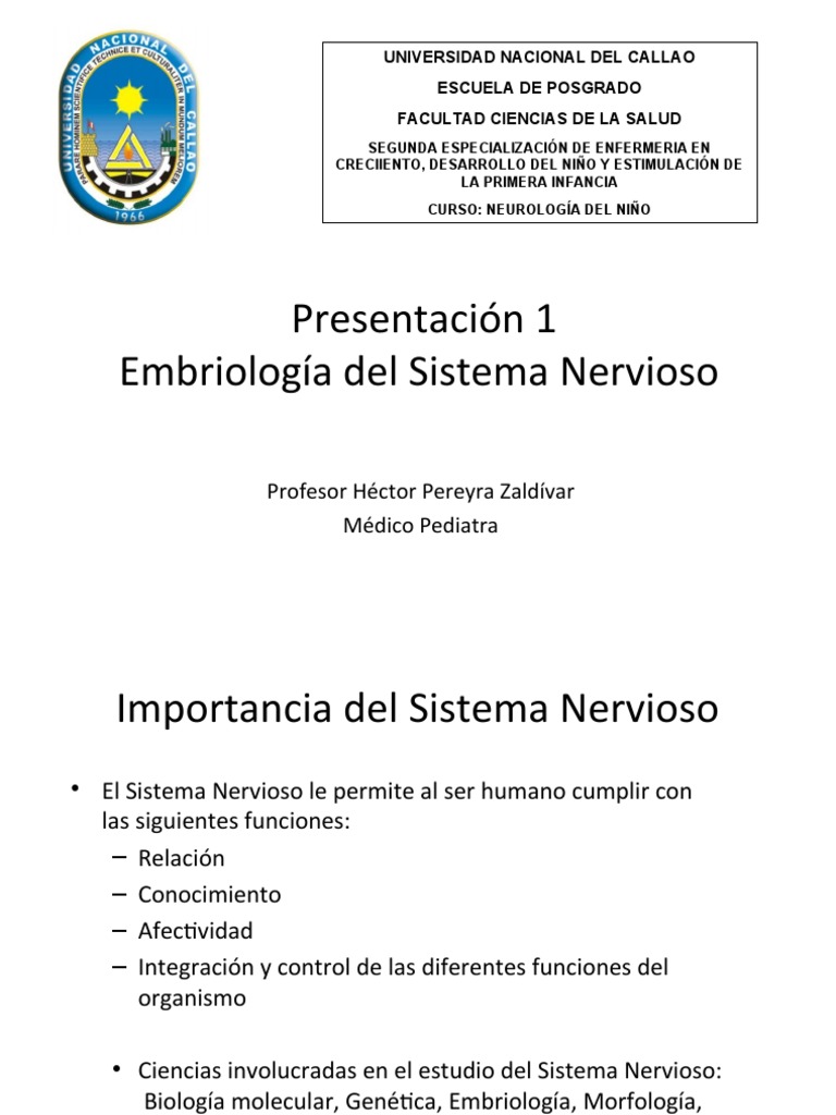 Presentación 1 - Embriologia Del SNC | PDF | Neurona | Cerebro
