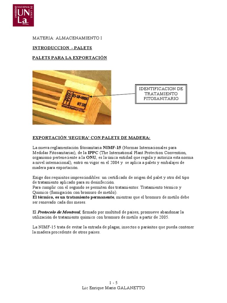 Introduccion de Palets | PDF | Paleta