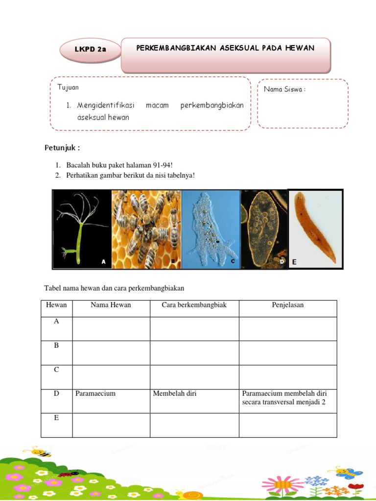 LKPD Perkembangbiakan Hewan | PDF