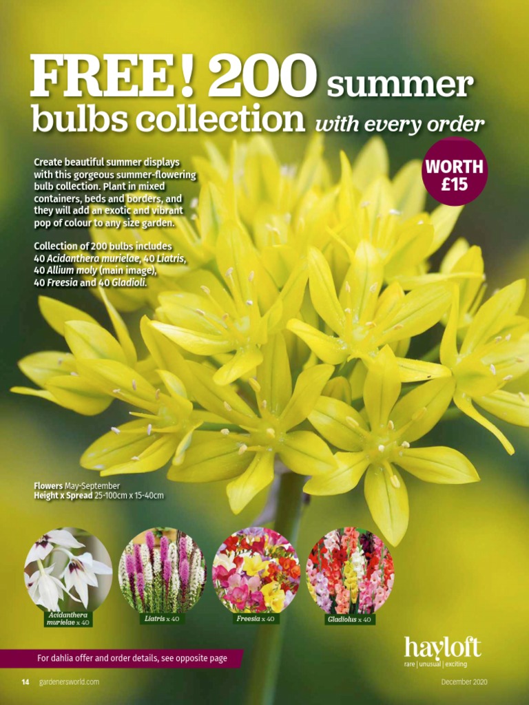 Free 200 Summer Bulbs Collection | PDF