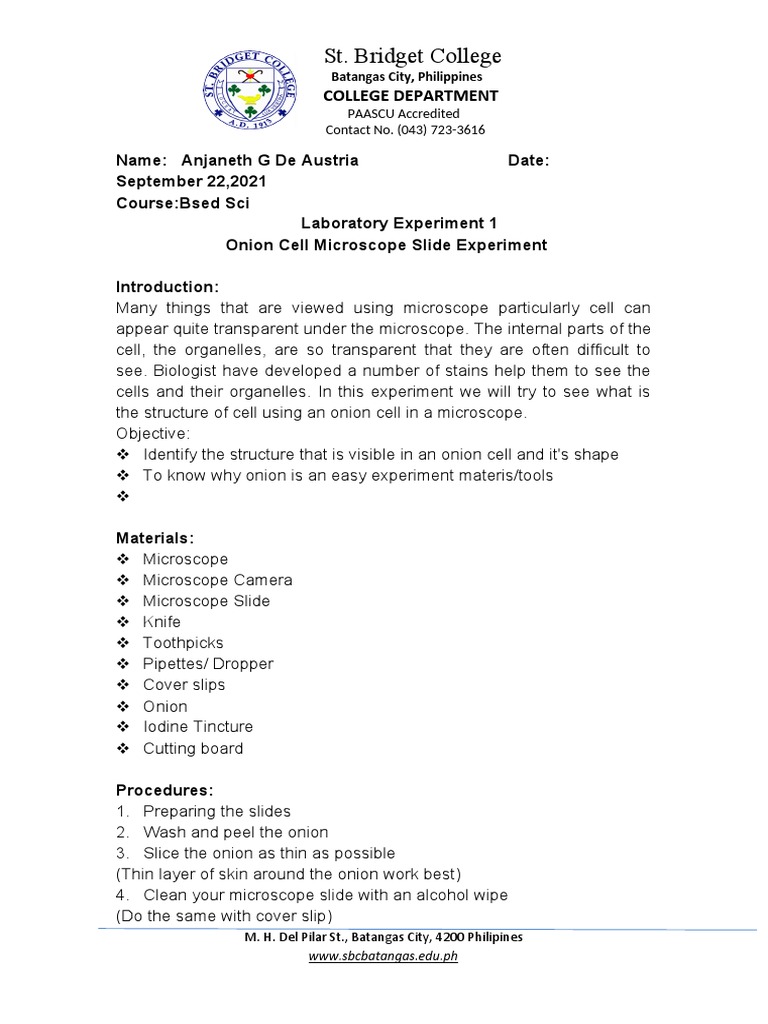 Onion Cell Microscope Experiment Guide | PDF | Cell (Biology) | Chloroplast