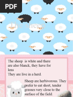 All About Sheep | PDF