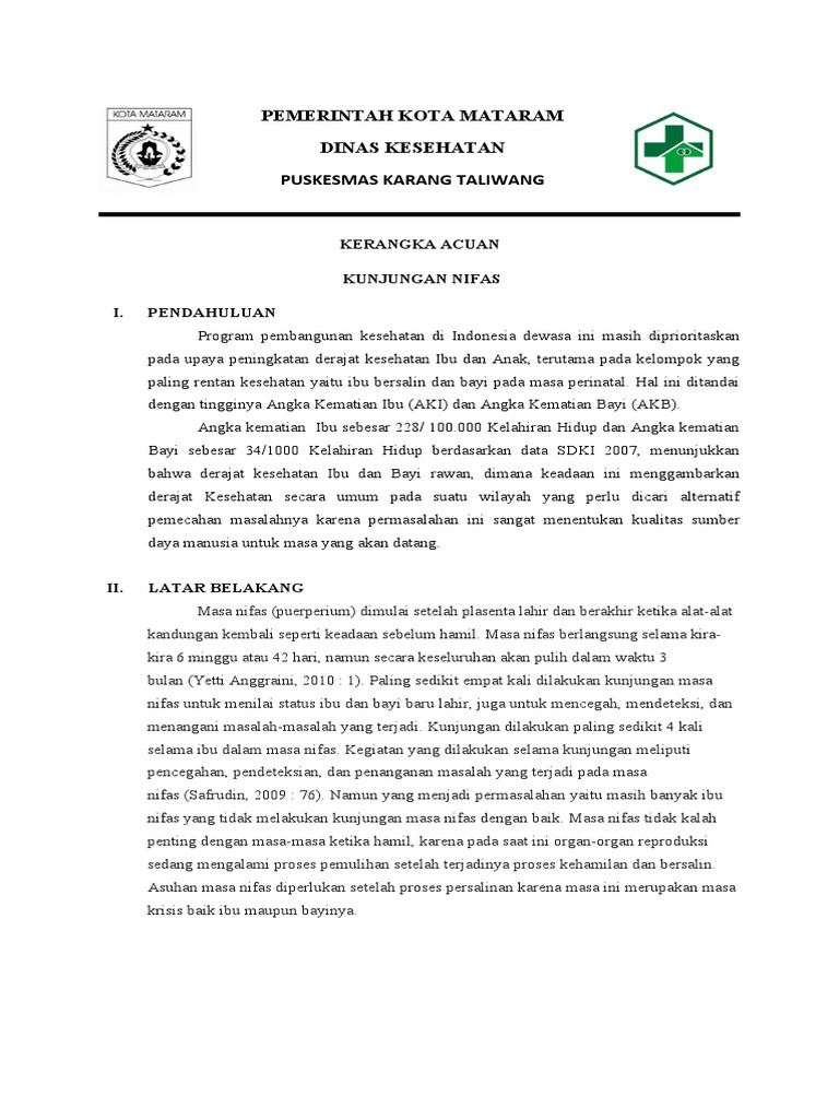 Ka Kunjungan Nifas | PDF | Pengembangan Diri | Kesehatan Holistik
