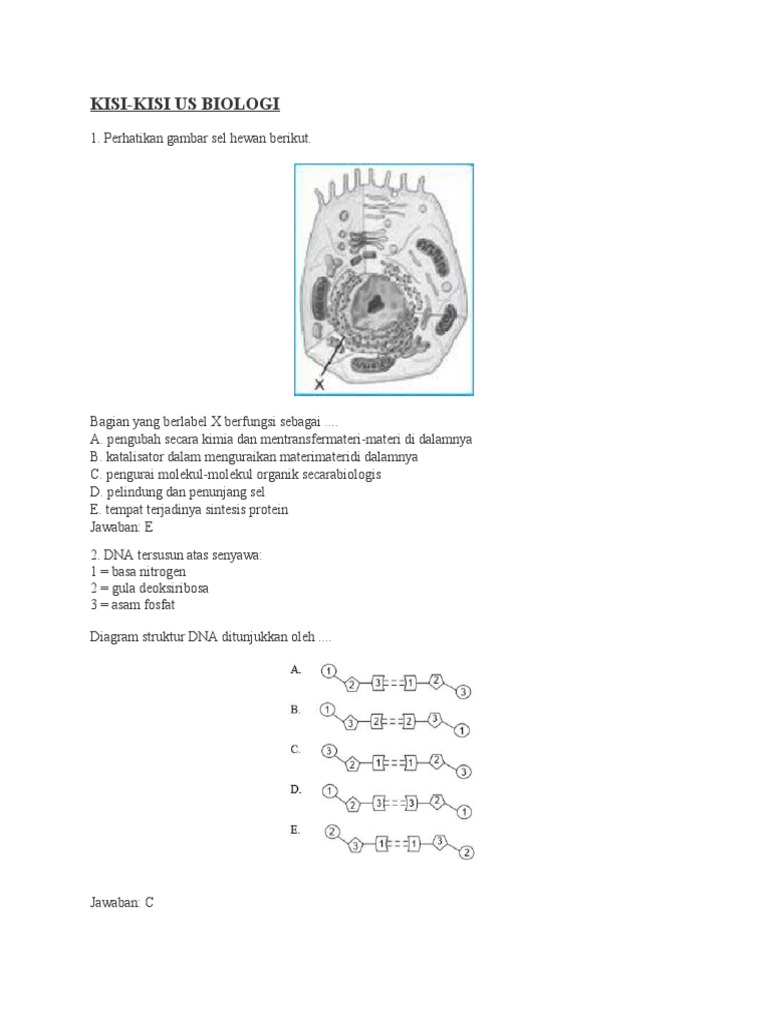 Kisi-Kisi US Biologi | PDF