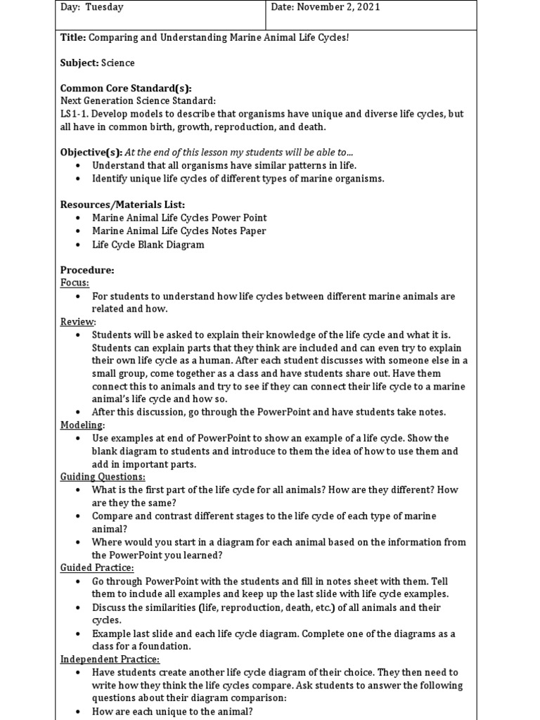 3rd Grade Marine Life Lesson Plan | PDF | Microsoft Power Point ...