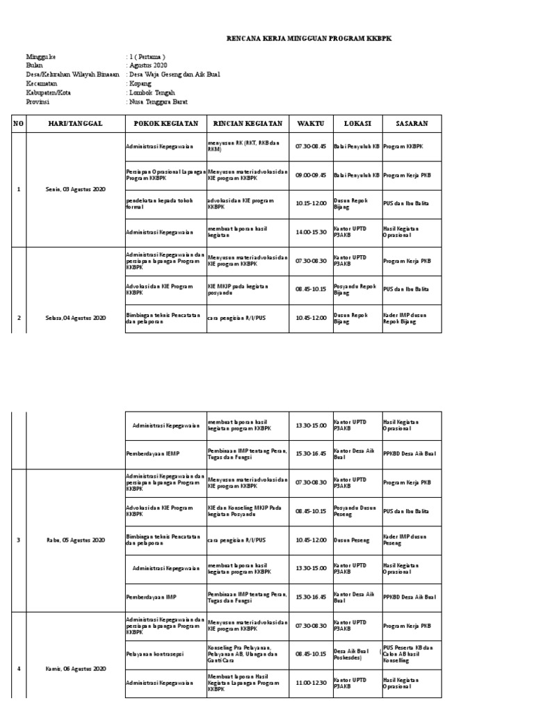 Rencana Kerja Mingguan | PDF