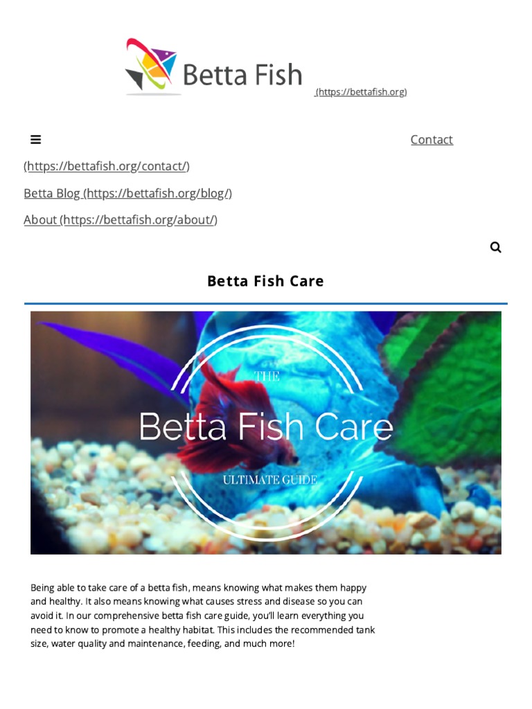 Betta Fish Care - How To Take Care of A Betta | PDF | Aquarium | Water
