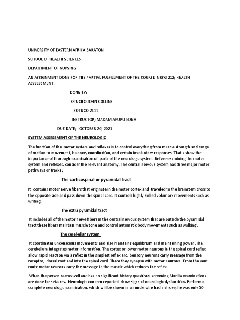 Assessment of The Neurologic System | PDF | Motor Neuron | Anatomical ...