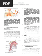 Soal Ulangan IPA KELAS 8 SISTEM PERNAFASAN | PDF