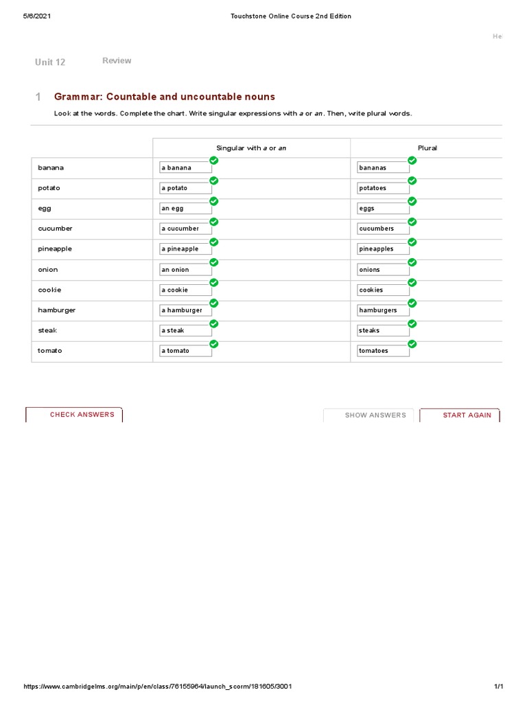Countable vs Uncountable Nouns Guide | PDF