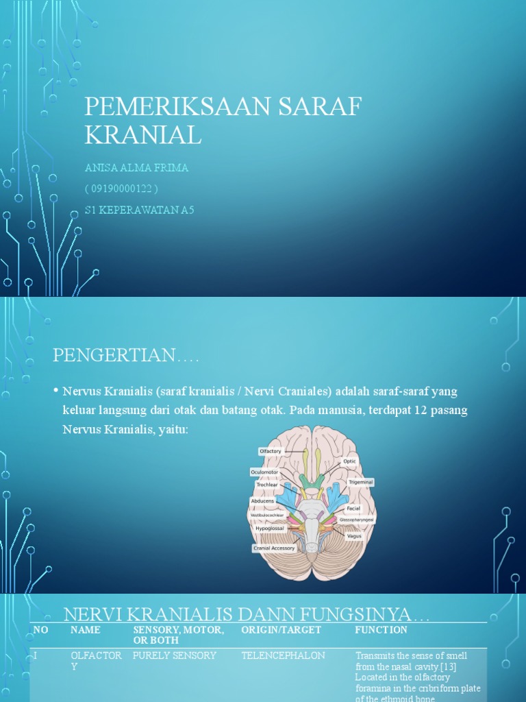 TUGAS 3 - Pemeriksaan Saraf Kranial | PDF | Organ (Anatomy) | Face