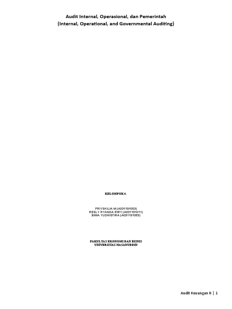 Internal Operational and Governmental Auditing | PDF