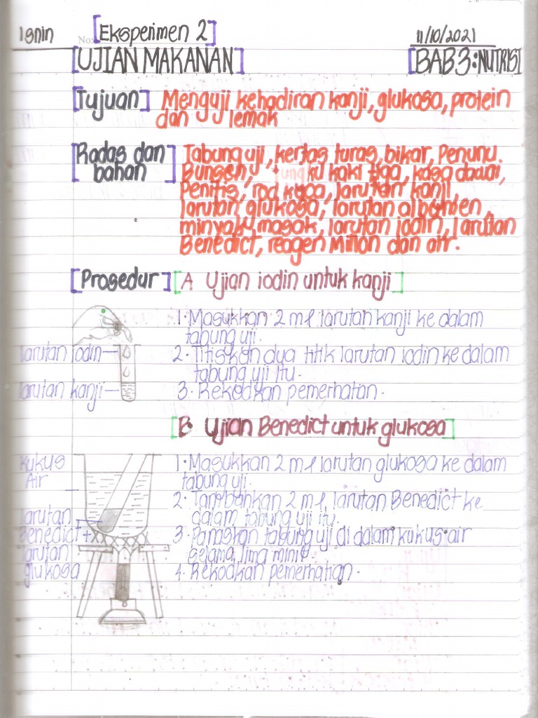 6 Amali Wajib Sains Tingkatan 2 | PDF