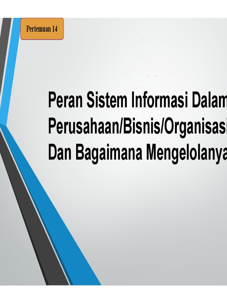 P14 Peran Sistem Informasi | PDF