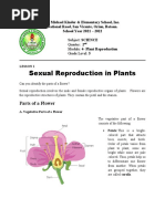 Grade 6 - Classification of Plants | PDF