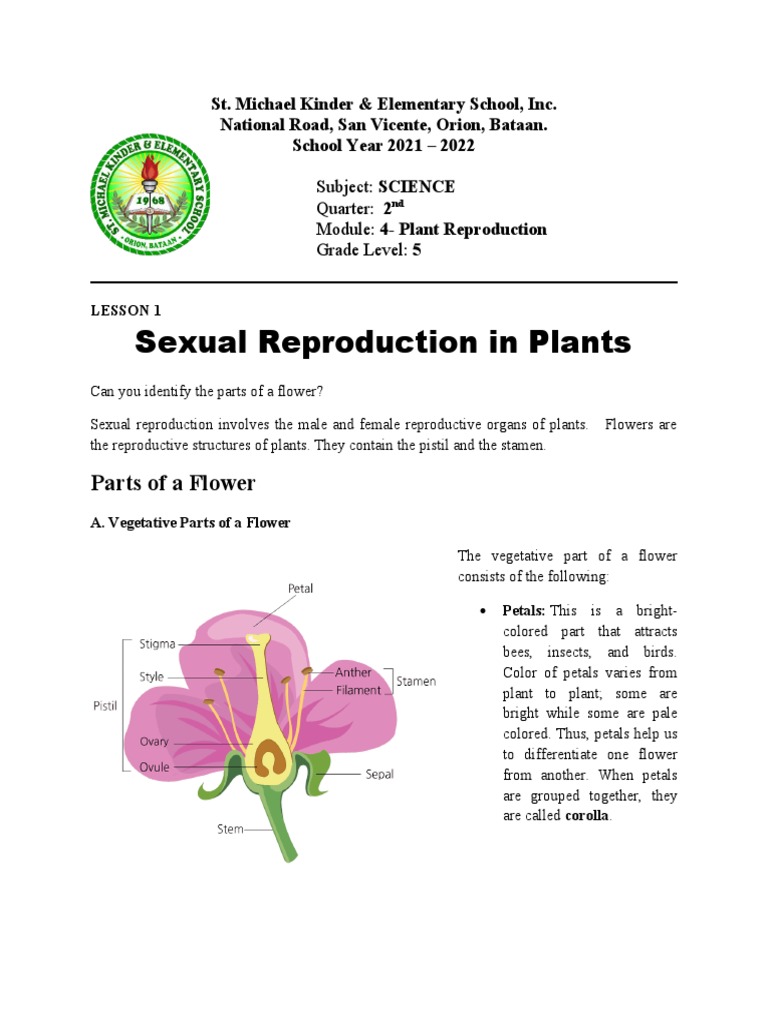 Parts and Functions of a Flower | PDF | Flowers | Seed