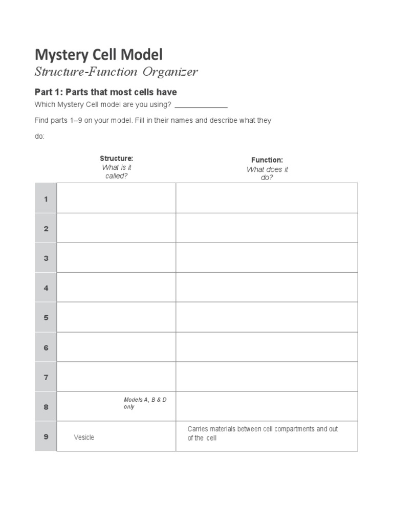 Mystery Cell Model: Structure-Function Organizer | PDF