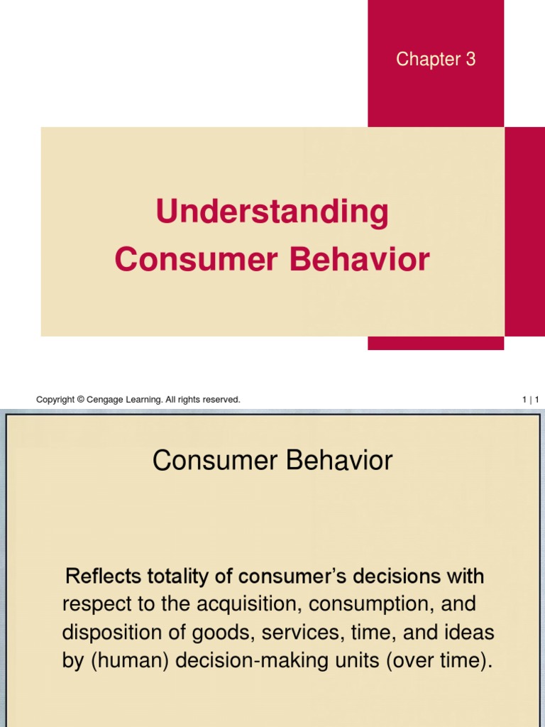 Chapter 3 Consumer Behavior | PDF | Consumer Behaviour | Behavior