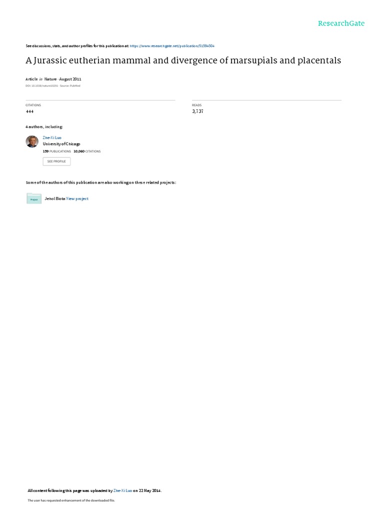 A Jurassic Eutherian Mammal and Divergence of Marsupials and Placentals ...