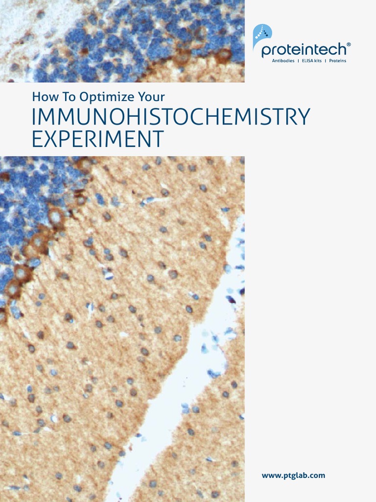 Proteintech Ihc Protocol Guide | PDF | Immunohistochemistry | Antibody