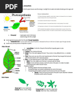 Parts of A Tree Worksheet | PDF