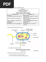 Microbiology Gram Stain Lab Report | PDF | Staining | Histopathology
