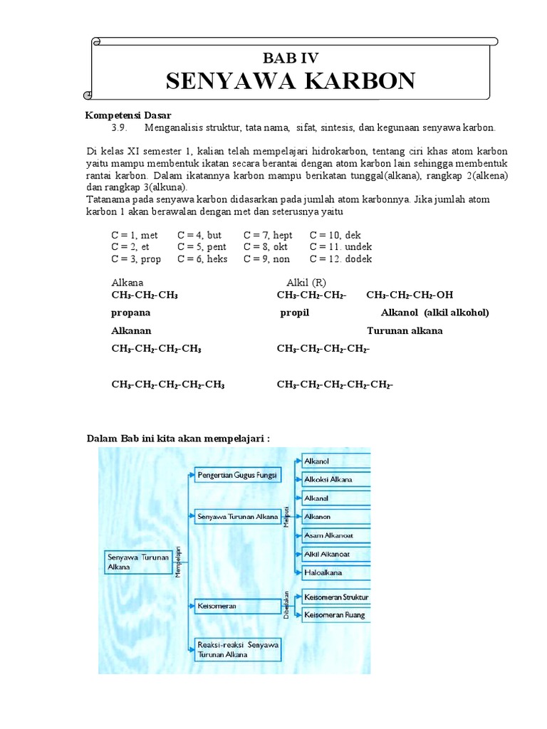 STRUKTUR DAN TATANAMANYA SENYAWA KARBON | PDF
