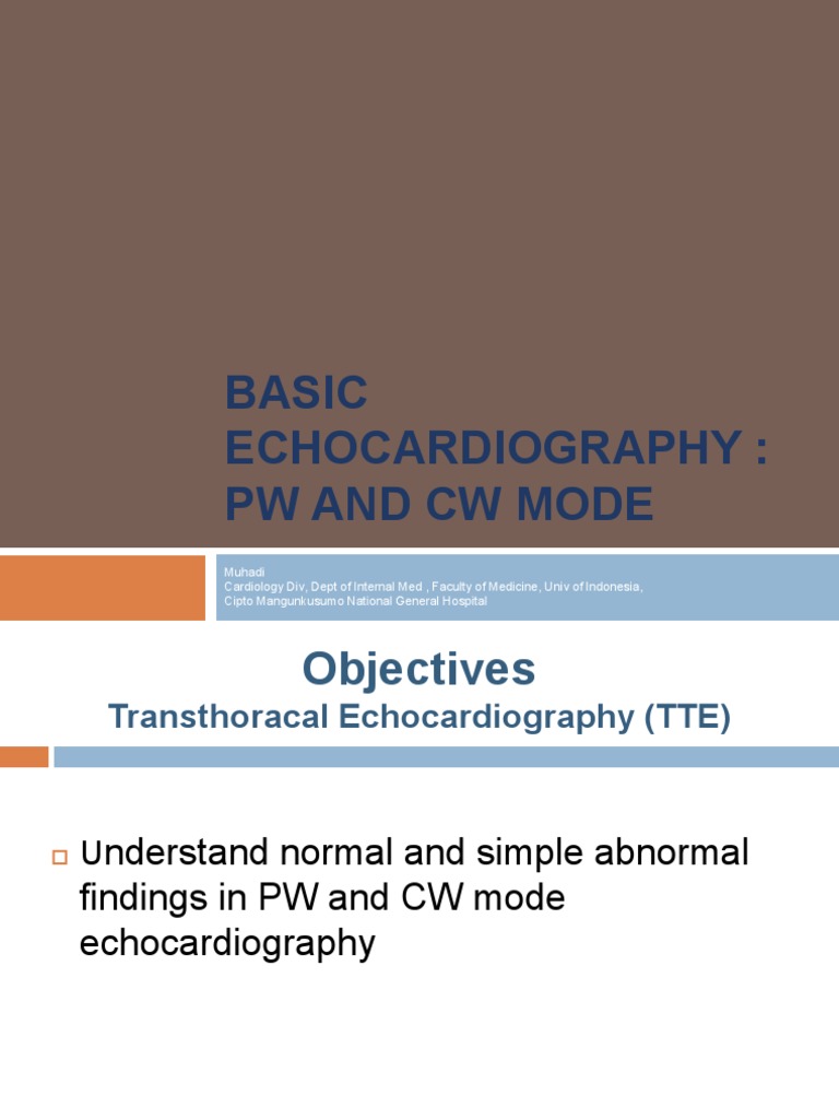 DR Muhadi - Workshop Basic Echo PW CW PIN 2019 | PDF | Echocardiography ...