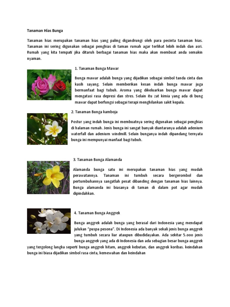 Tanaman Hias Bunga | PDF