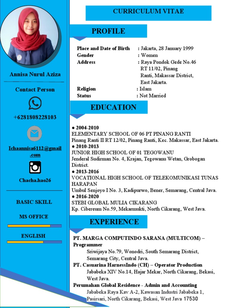 CV Annisa | PDF
