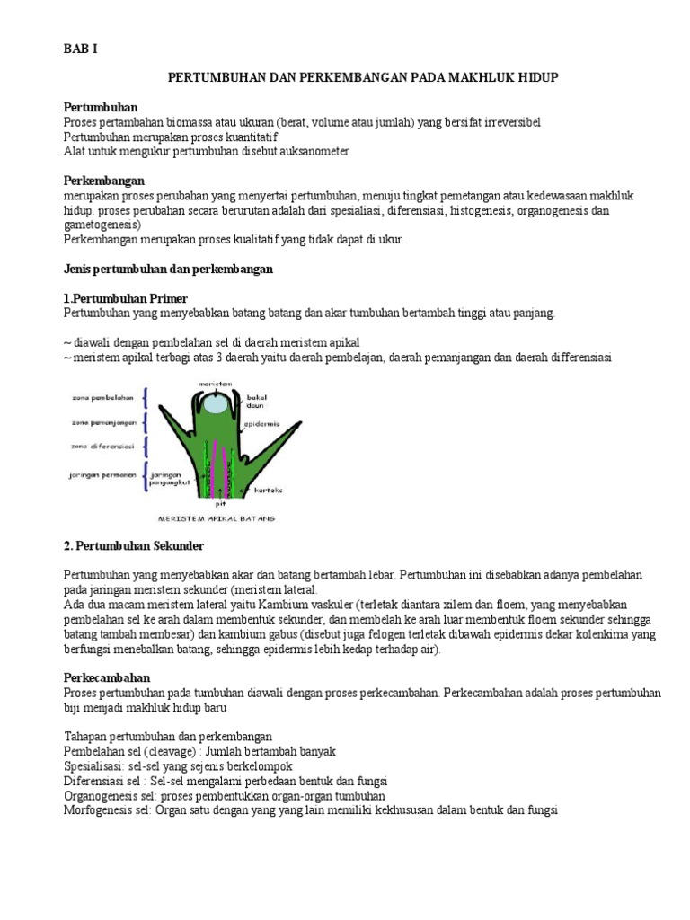 Modul Bio Xii SMT 1 | PDF