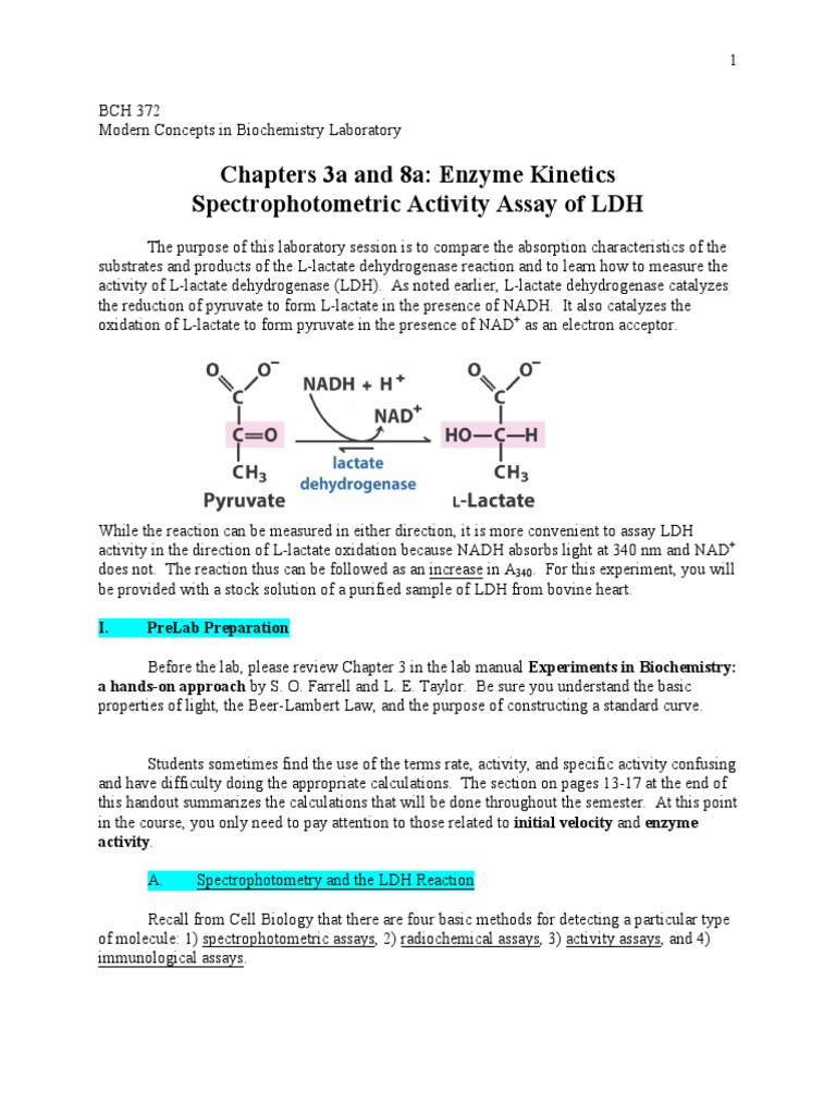 Enzyme Assignment | PDF | Nicotinamide Adenine Dinucleotide ...
