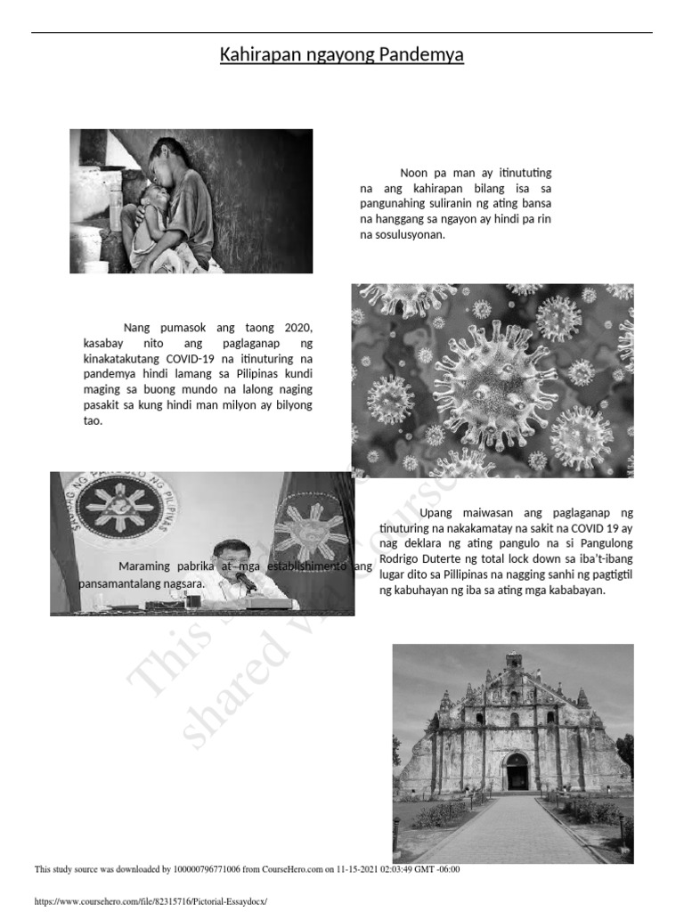 Pictorial Essay | PDF
