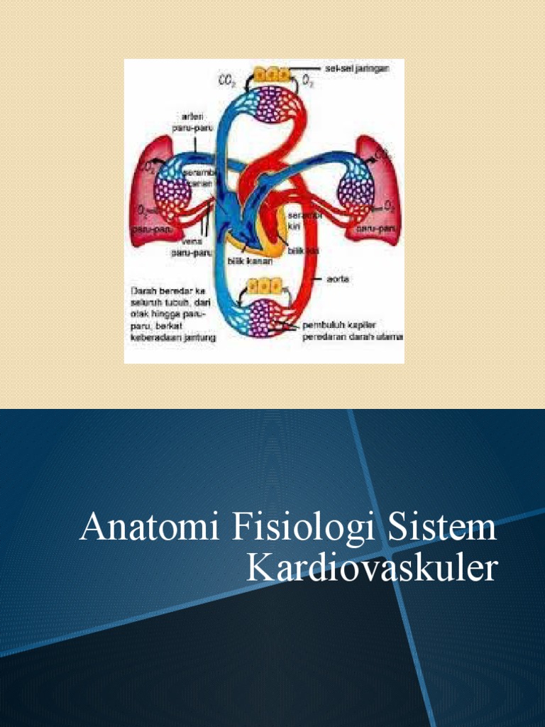 Anatomi Fisiologi Sistem Kardiovaskuler | PDF