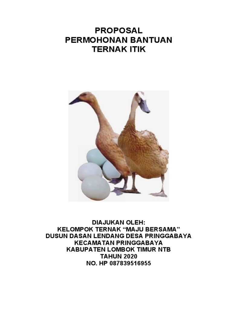 Proposal Bebek Petelur | PDF | Memasak, Makanan, & Anggur | Kesehatan ...