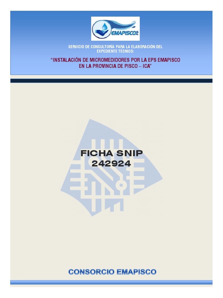 12 Ficha SNIP | PDF