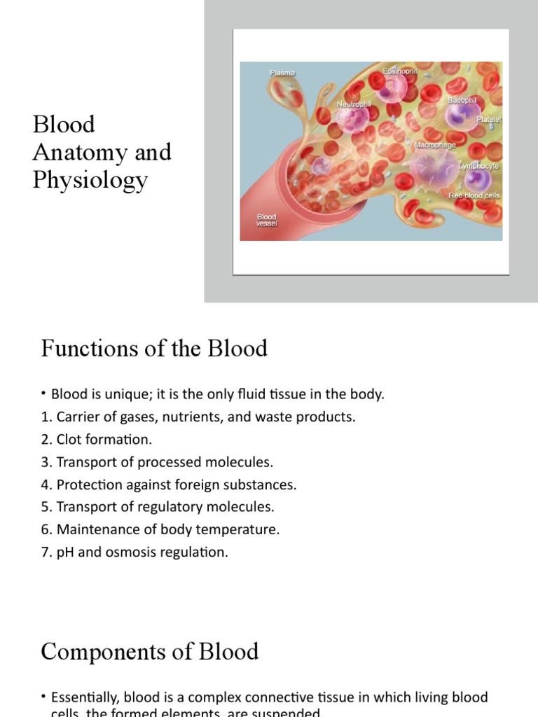 Anatomy and Physiology of Blood | PDF | Blood Type | Red Blood Cell