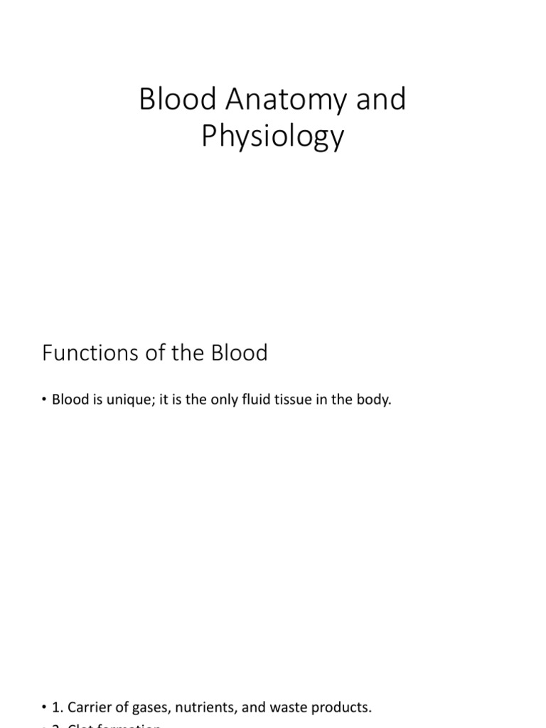 Blood Anatomy and Functions Explained | PDF | Blood Type | White Blood Cell