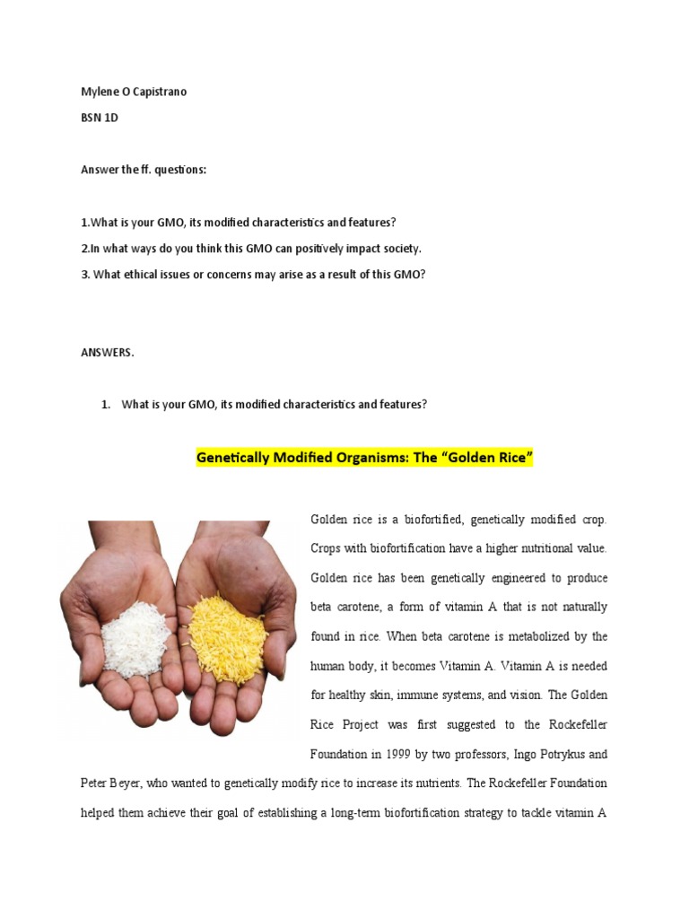 Genetically Modified Organisms: The "Golden Rice" | PDF | Agriculture ...