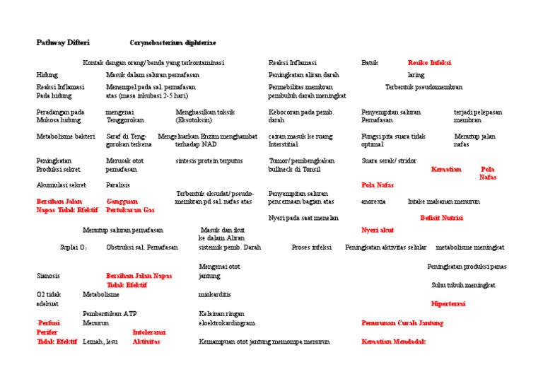 Pathway Difteri | PDF