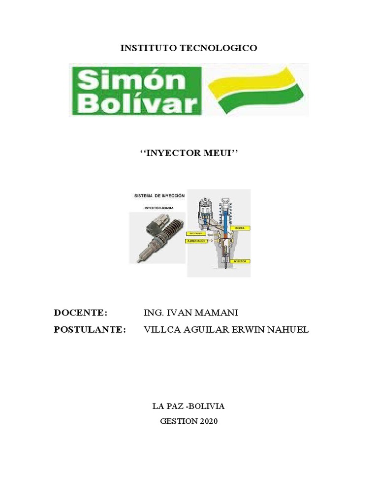 Inyector Meui | PDF | Inyección de combustible | Bomba