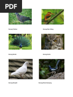 Simpul Sentak (Slip Knot) | PDF