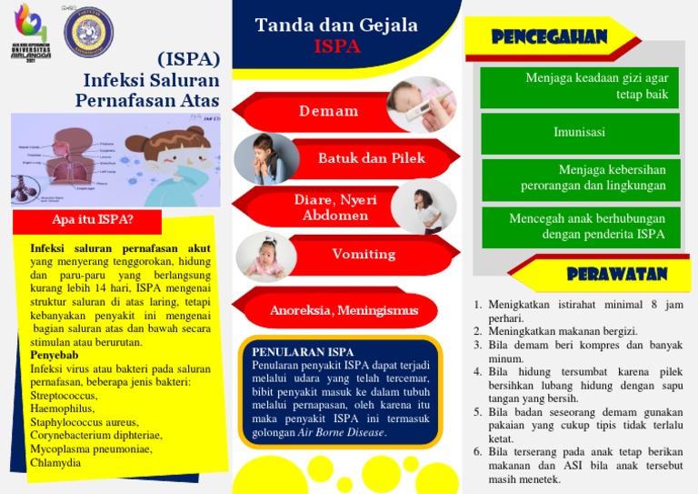 Leaflet Ispa | PDF