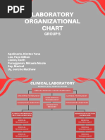 Organizational Chart Tertiary Lab | PDF | Medical Laboratory | Pathology